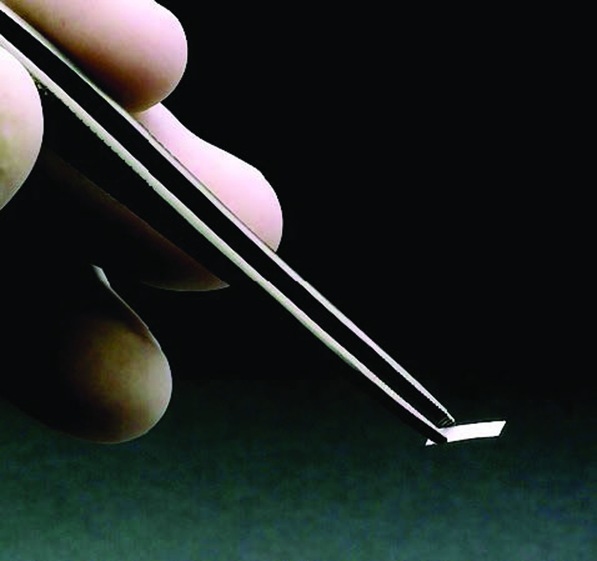 Mini Spore Strips - Excelsior Scientific